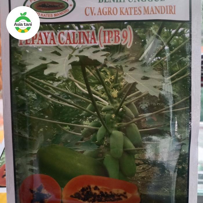 Jual BENIH PEPAYA CALINA IPB 9 CV AGRO MANDIRI ISI KEMASAN 5GRAM - Kota ...