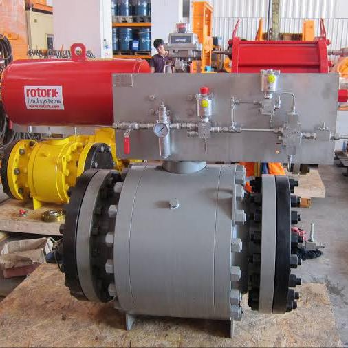 Jual Actuator Pneumatic Rotork GP Series c/w Trunnion Ball Valve ...