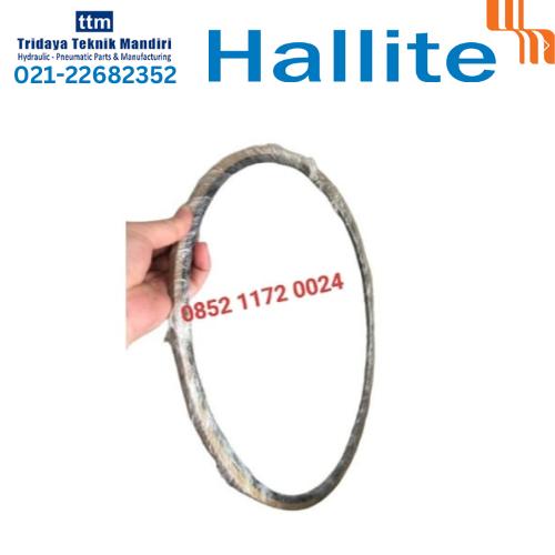 Jual Piston Seal Hallite (Tee Seal) diameter 350 mm - Jakarta Barat - Hidrolik Sparepart | Tokopedia