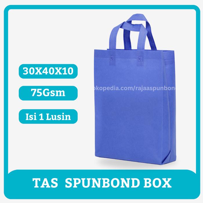 Jual Goodie Bag Spunbond Box 30 x 40 x 10 Biru BCA Harga Lusin / Tas ...