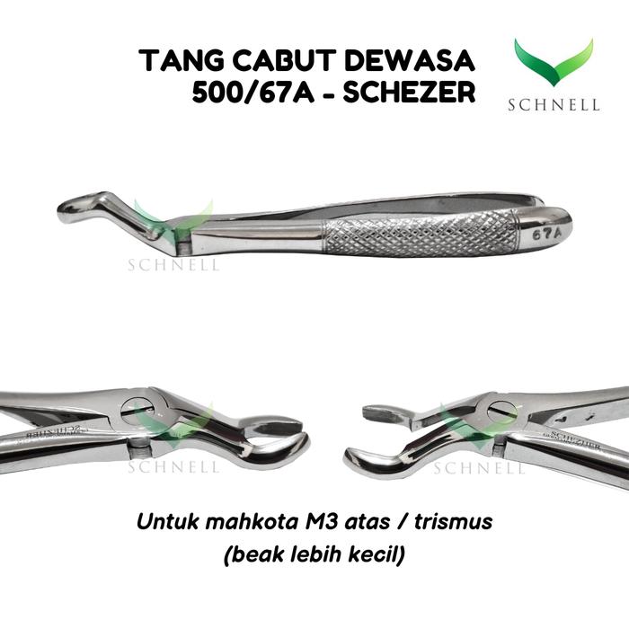Jual Tooth Forceps Adult/Tang Cabut Dewasa Satuan Schezer Dental ...