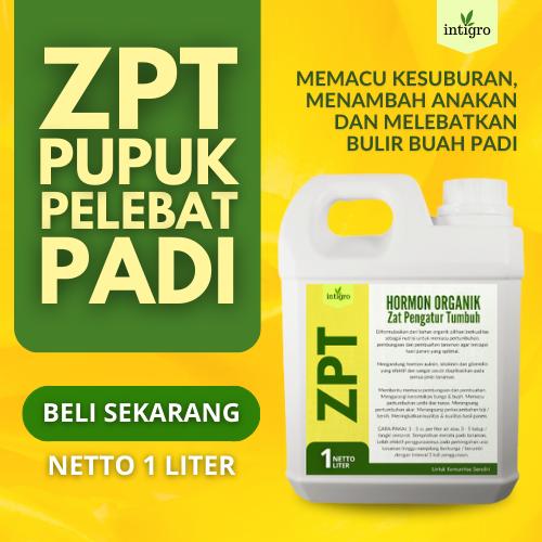 Jual 1 Liter Pupuk ZPT Penyubur Tanaman Padi Menambah Anakan Pelebat ...