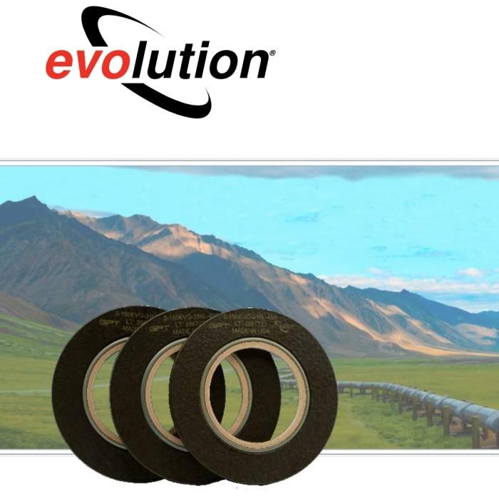 Jual INSULATION GASKET 11/2" 300 EVOLUTION GYLON ,G11 SLEEVE, PIKOTEK ...