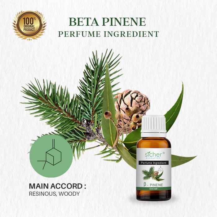 Jual Aromaterapi Beta Pinene Natural Isolate Oil Pengharum Ruangan ...