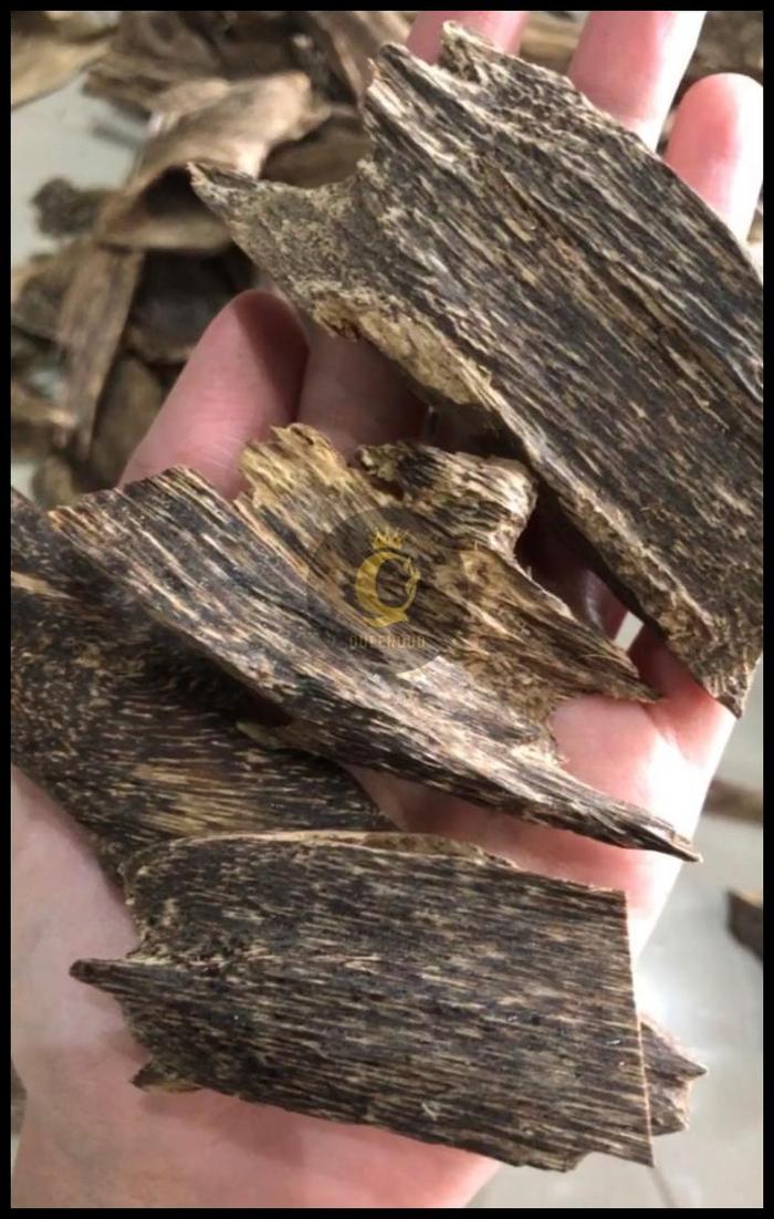 Jual Pengharum Ruangan Kayu Gaharu Kalimantan / Agarwood / Oud / Bukhur ...