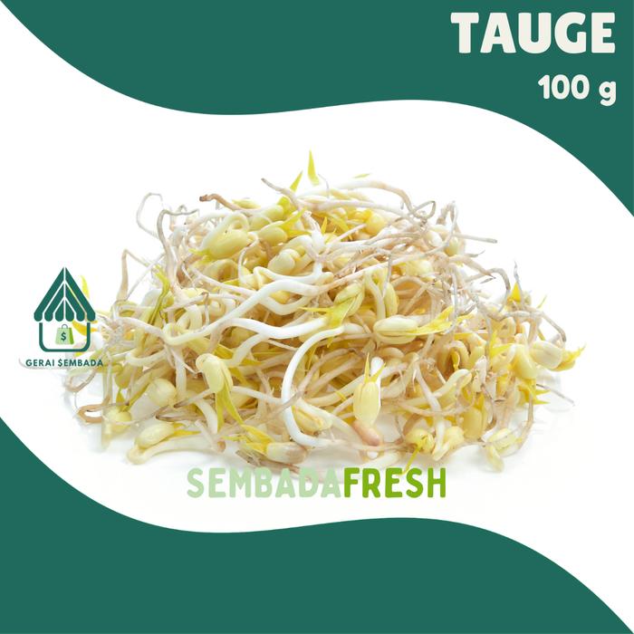Jual Tauge / Toge / Kecambah 100 gram - SEMBADA FRESH [Pengiriman ...