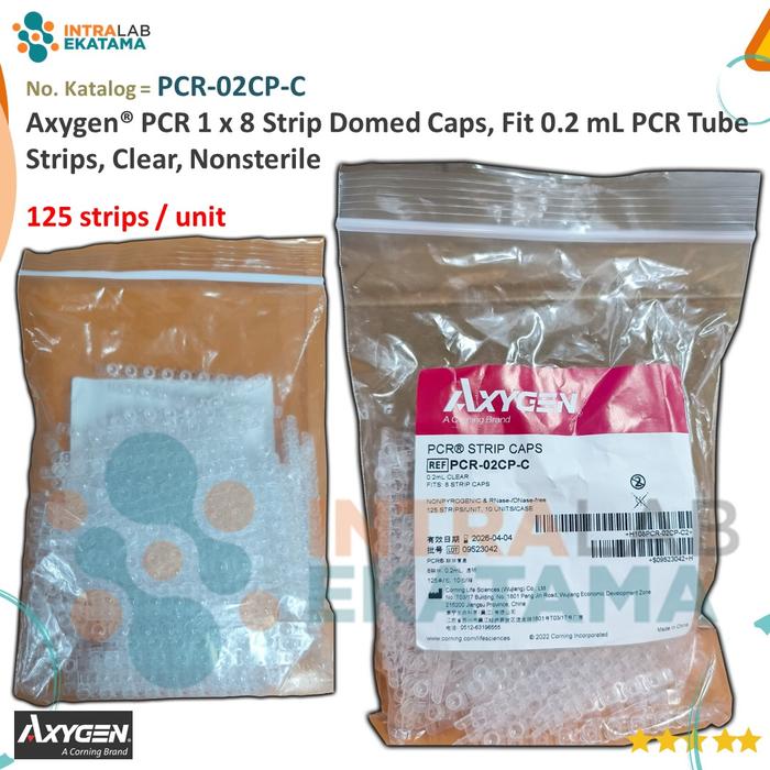 Jual PCR 1 x 8 Strip Domed Caps, Fit 0.2 mL PCR Tube Strips, Clear, Nonsterile, 125 stip/unit ...