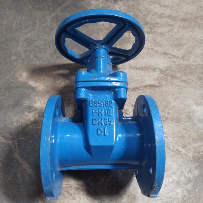 Jual GALA Gate Valve Size 2.5" inch DN65 - PN 16 Cast iron - Kab ...