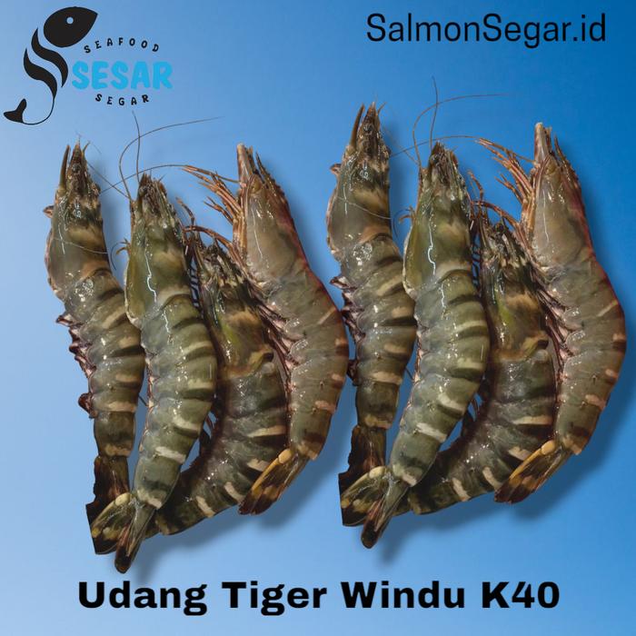 Promo Udang Windu Black Tiger AK 40- Udang Tiger Pacet Segar Jumbo 1kg ...
