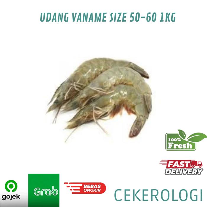 Jual Udang Vaname Size 50-60 1kg / Udang Vaname Segar / Udang Vaname ...