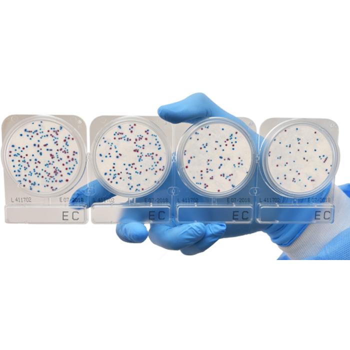 Jual Nissui Compact Dry EC - 40EA/Pack - Jakarta Barat - FastTrustLab | Tokopedia