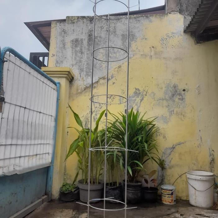 Jual tiang rambatan anggur tinggi 2 meter - Kab. Bandung - ino ...