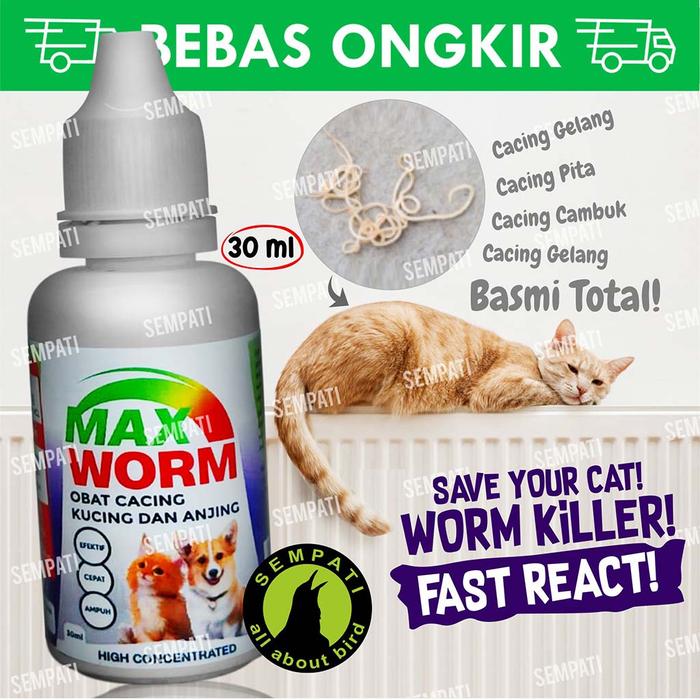 Jual Max worm 30ml obat cacing cacingan kucing anjing cat dog kitten ...