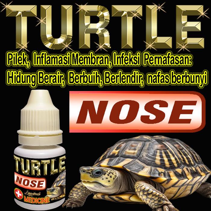 Promo TURTLE NOSE MENGOBATI PENYAKIT INFEKSI PERNAPASAN KURA-KURA AIR ...