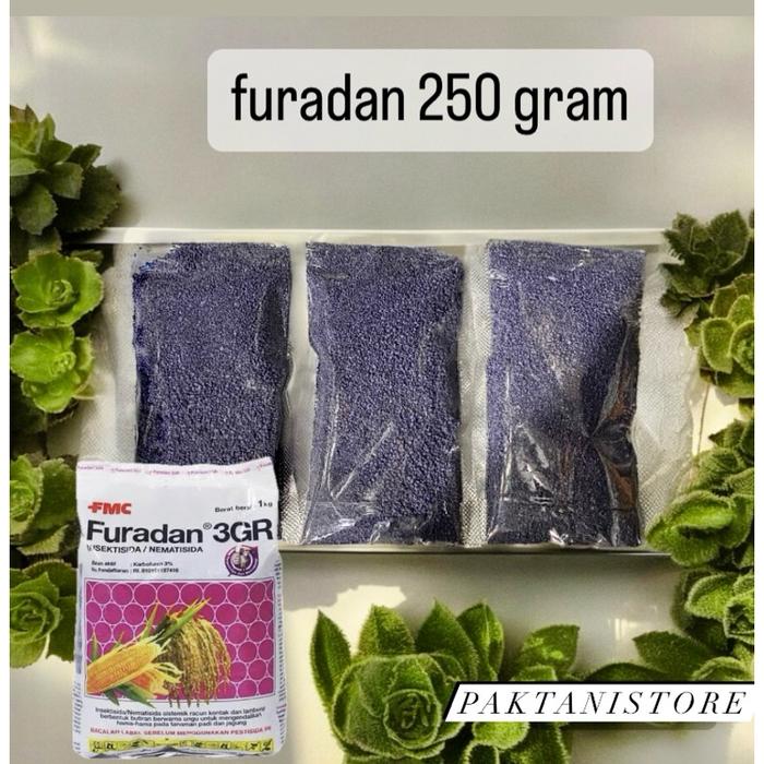Jual Furadan 3gr pembasmi rayap dan hama tanaman kemasan repack 250 ...