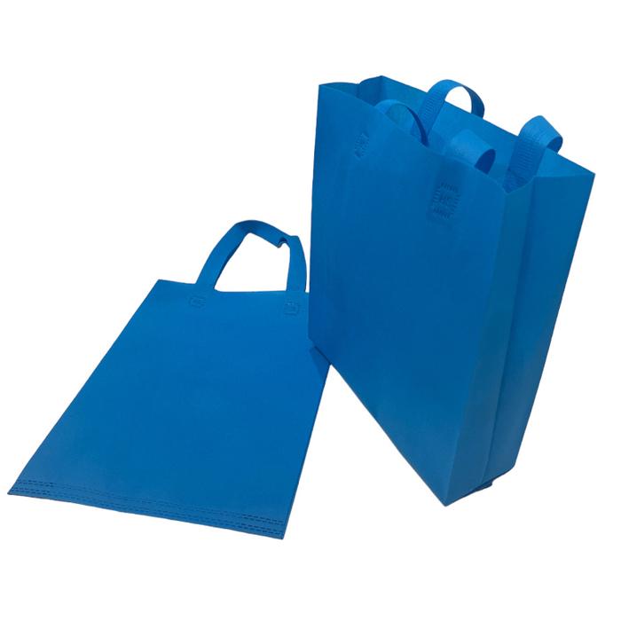 Jual [ 12 Pcs ] Tas Spunbond 25x35 Handle 75gsm – Goodie Bag Cetak Logo ...