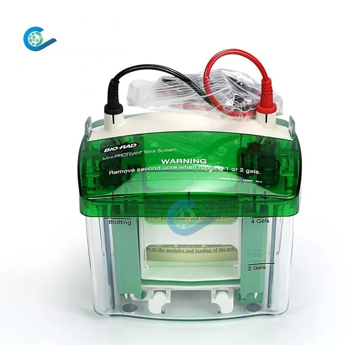 Jual Bio-Rad Mini-PROTEAN Tetra Cell#1658001 Vertical Western Blot Transfer System Tank - Kab ...