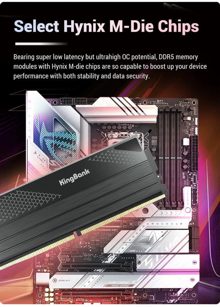 Jual RAM DDR5 32GB (16GBx2) 6000Mhz Dual Channel Longdimm PC KingBank ...