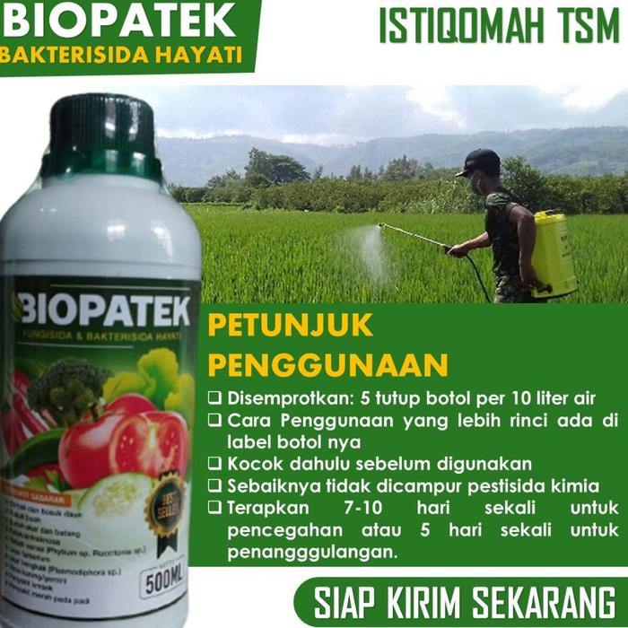 Jual _ PUPUK SEMPROT ATASI BUSUK TANDAN BUAH SAWIT BIOPATEK 500 ML ...