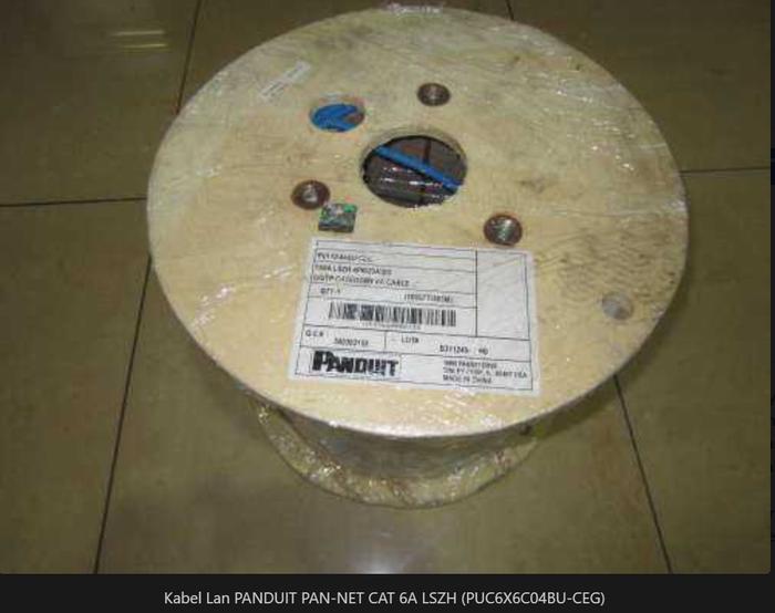 Jual Kabel Lan PANDUIT PAN-NET CAT 6A LSZH (PUC6X6C04BU-CEG) - Jakarta ...