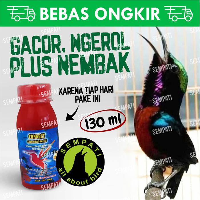 Jual CONNECT NECTAR NEKTAR COLIBRI PAKAN MAKANAN MINUMAN BURUNG KOLIBRI ...