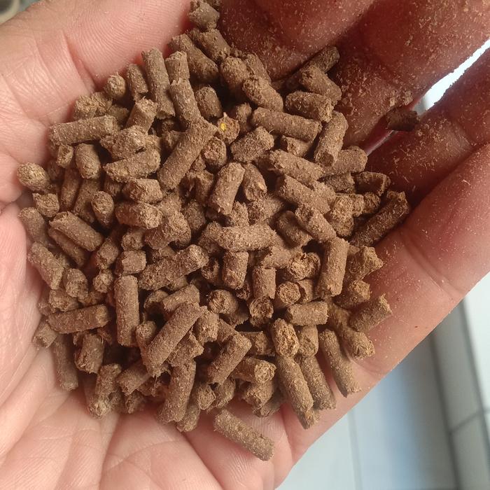 Jual pelet hijau pakan sapi, kambing, kuda per 1 ton - Kota Bandung ...