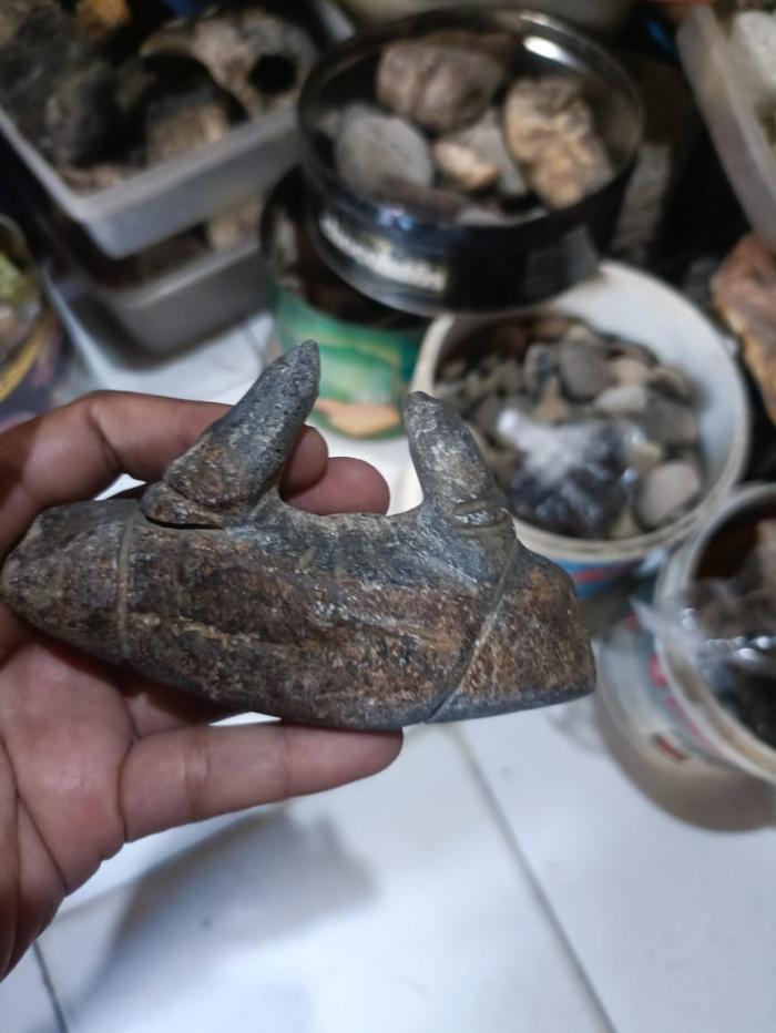 Jual fosil pring petuk dari hutan maja masa kerajaan majapahit ori bk ...