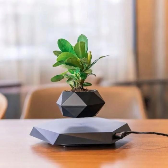 Jual Pot Magnetic Pot Pohon Melayang Fly Kaktus Plant Pot Bonsai Pot ...