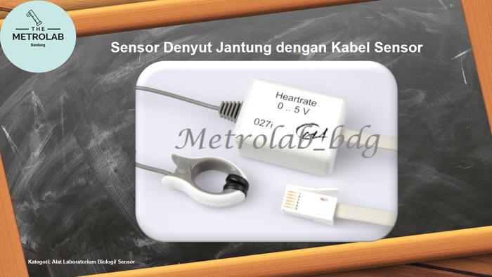 Jual Sensor Denyut Jantung dengan Kabel Sensor | Heart Rate Sensor ...