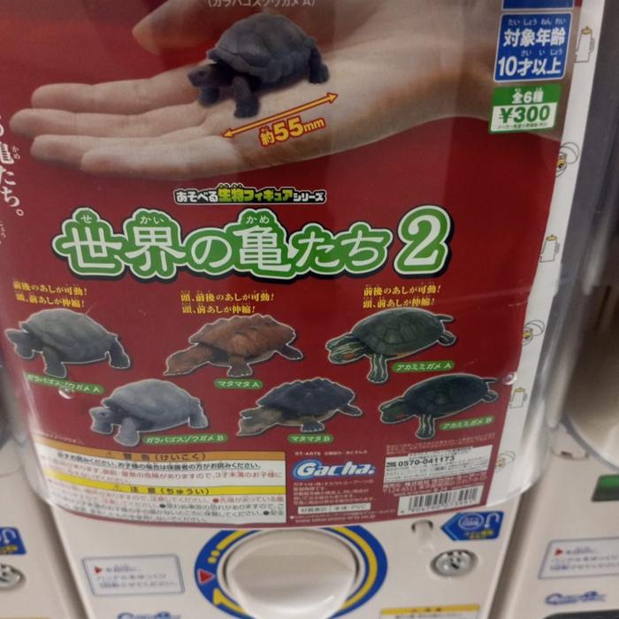 Jual Gacha Turtles of the World 2 - Jakarta Barat - Aqua_Garden | Tokopedia