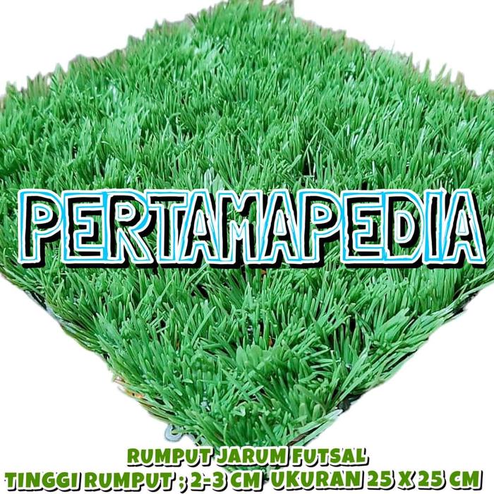 Jual Rumput Hijau Ukuran 25X25 Cm/ Rumput Plastik/ Rumput Artificial ...