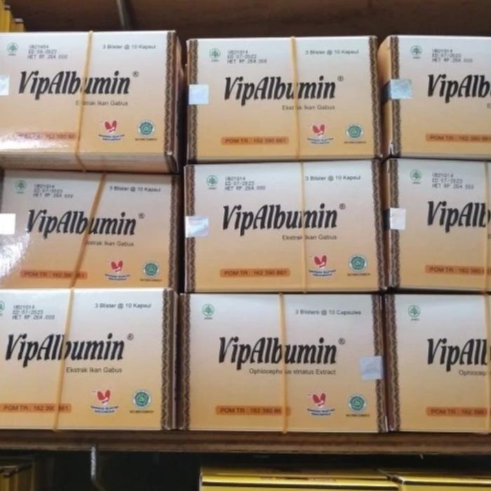 Jual Kapsul Vip Albumin Ekstrak Ikan Gabus VipAlbumin isi 30 Kapsul ...