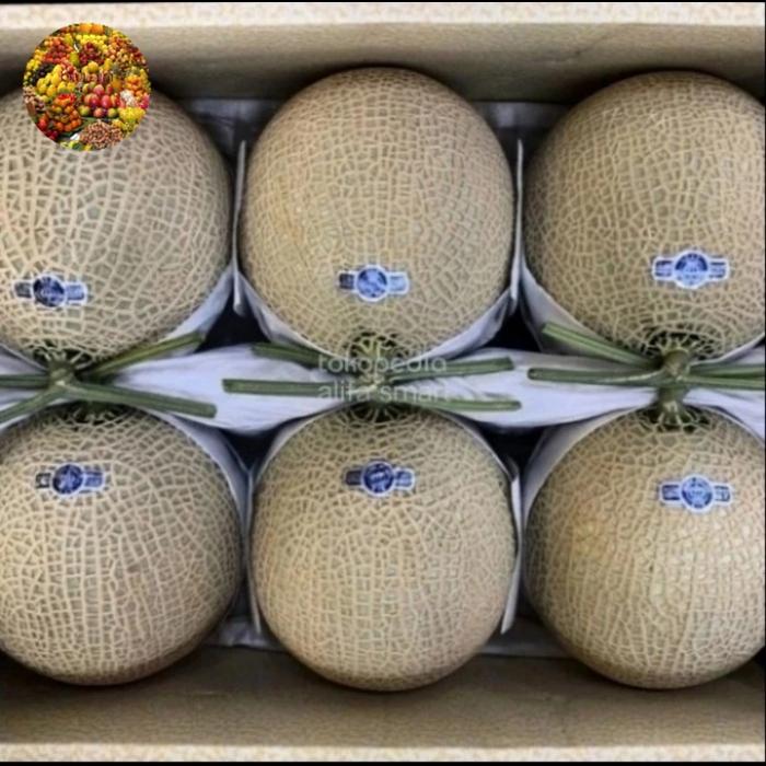 Promo BUAH MELON JEPANG MUSK CROWN 1 BOX - Jakarta Barat - alifa smart | Tokopedia