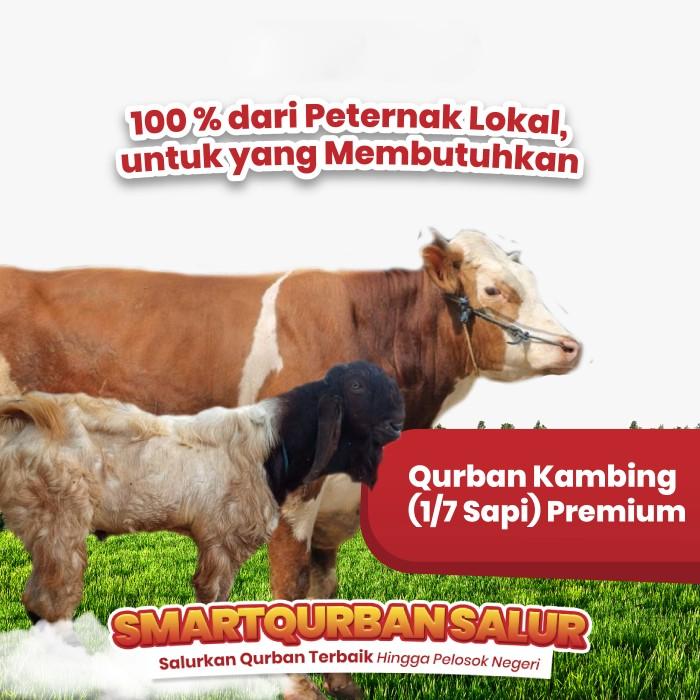Promo Qurban Kambing (1/7 Sapi) Ternaknesia PREMIUM - Kota Surabaya ...