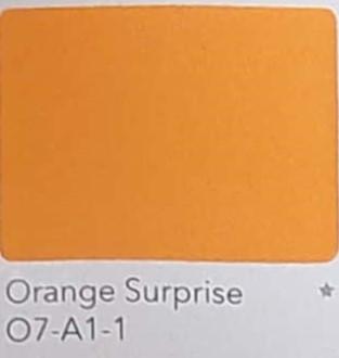 Jual Kansai Ruby Matt Cat Interior Tinting 2.5 L (3) - Orange Surprise ...