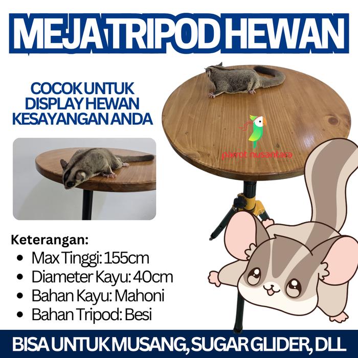 Jual Meja Tripod Besi Besar Murah - Cocok Untuk Musang. Sugar Glider ...