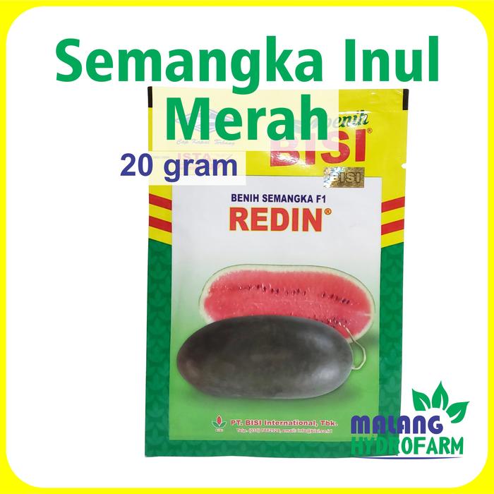 Jual Benih Semangka Inul Merah Redin F1 20 gram Cap Kapal Terbang bibit ...