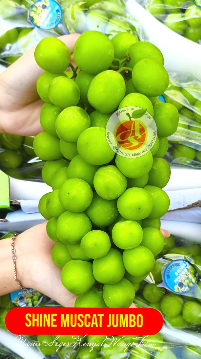 Jual ANGGUR HIJAU SHINE MUSCAT JEPANG KOREA MANIS GARING - MUSCAT JMB ...
