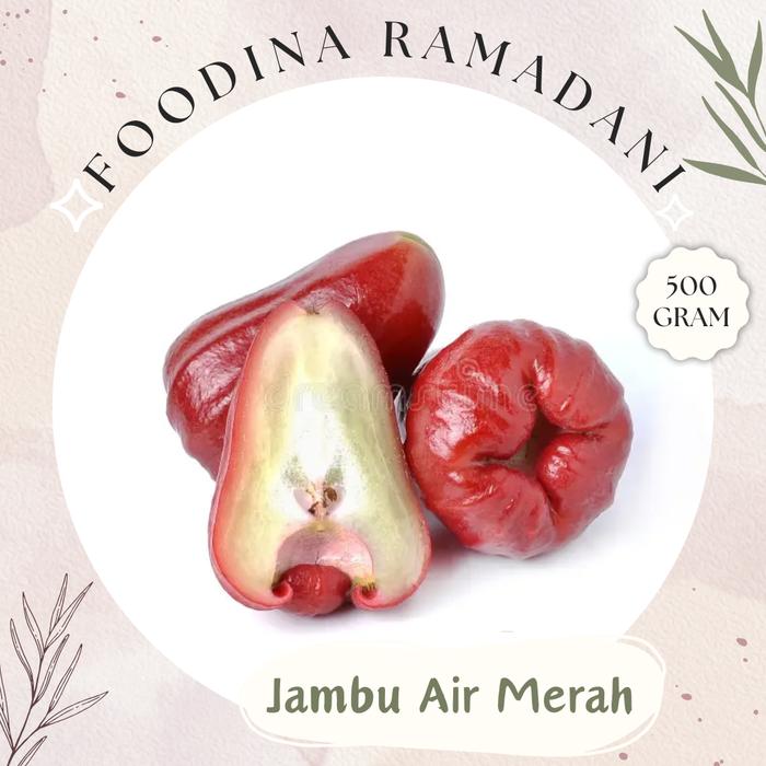 Jual JAMBU Air Merah - Citra Cincalo Fresh [ Berat 500gr ] Harga Per 0 ...