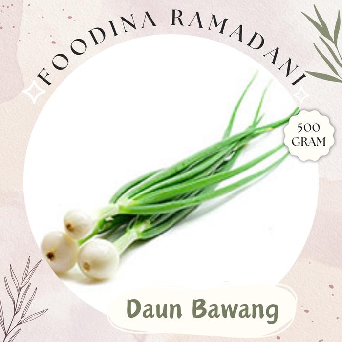 Jual DAUN Bawang SON - Lokio Fresh [ Berat 500gr ] Harga Per 0,5 Kg ...
