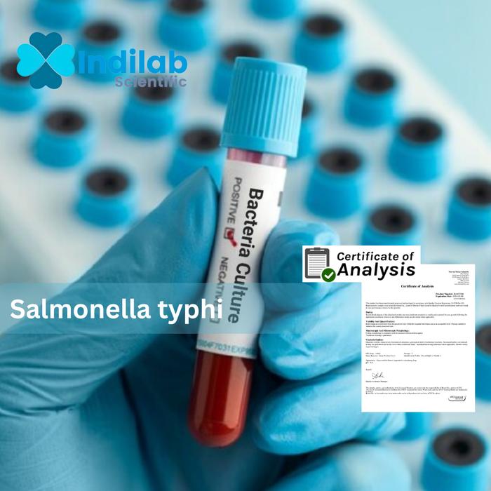 Jual Kultur | Isolat | Biakan murni Bakteri Salmonella typhi - Kota ...