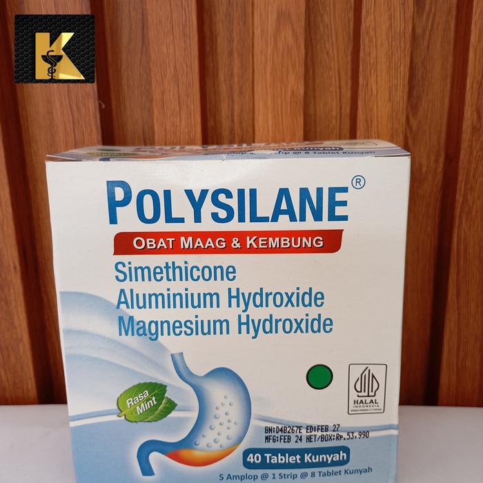 Promo POLYSILANE TAB/OBAT MAAG & KEMBUNG/HARGA PER TABLET - Kab ...