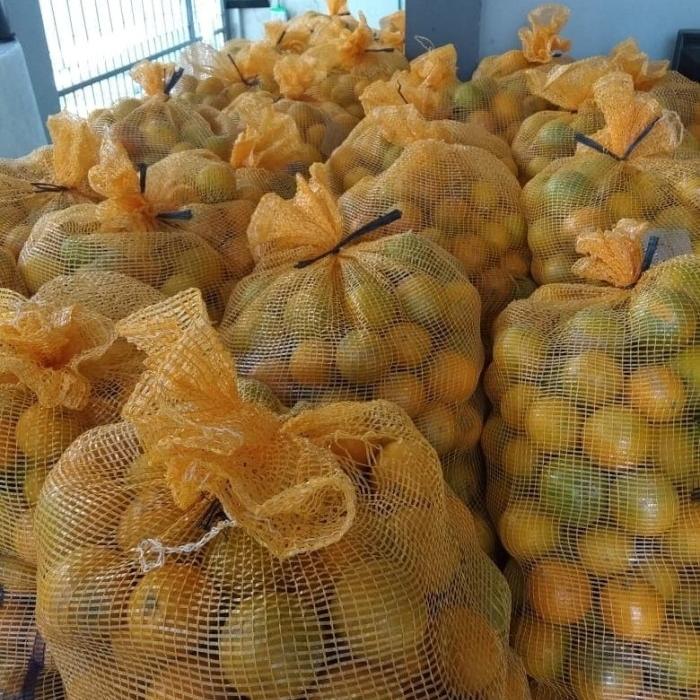 Jual SALE MURAH JERUK BABY MALANG JAVA JERUK PERAS PERAH MANIS SEGAR ...