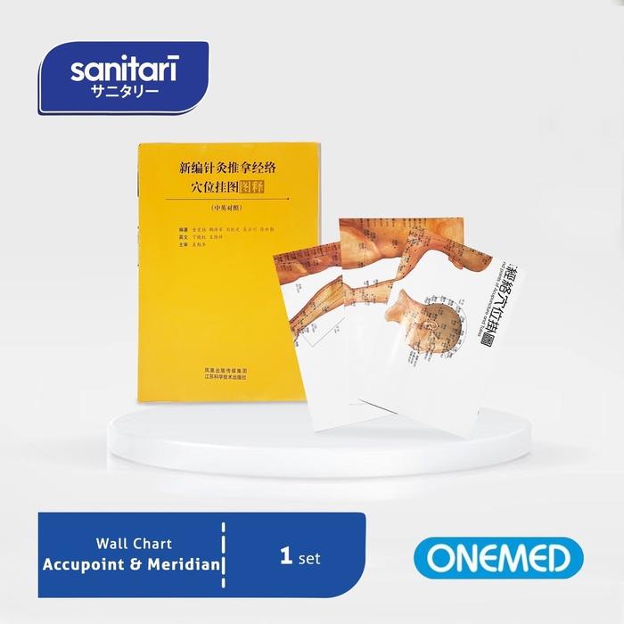 Jual Wall Chart Accupoint and Meridian Gambar Titik Akupuntur Poster ...