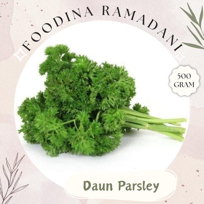Jual DAUN Parsley - Peterseli Fresh [ Berat 500gr ] Harga Per 0,5 Kg ...