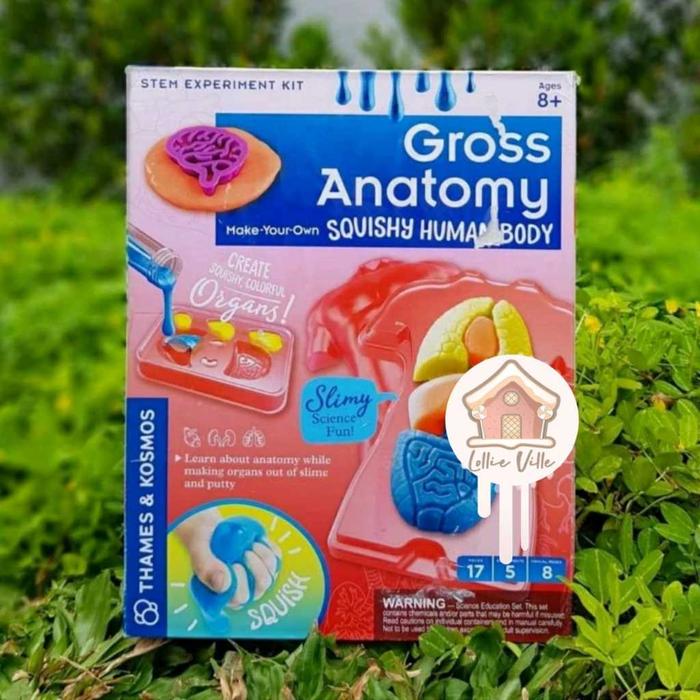 Jual Gross Anatomy Make Your Own Squishy Human Body - Kota Medan ...