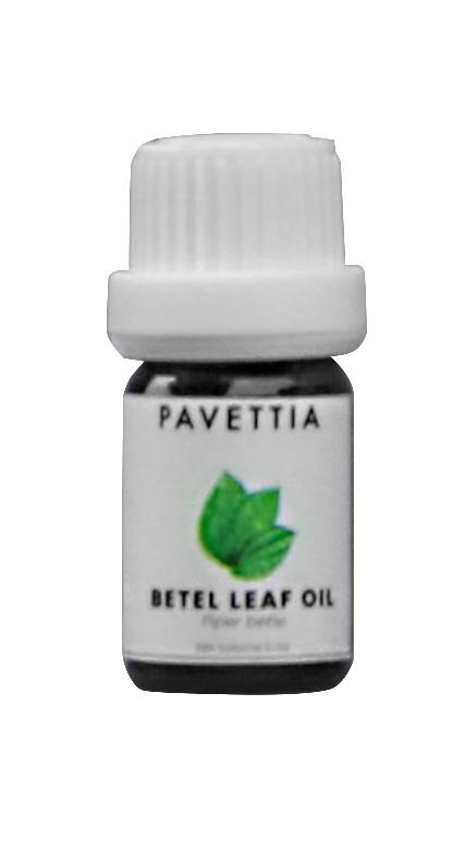 Jual 5 ml sampel - minyak daun sirih / betel leaf oil (Piper betle) - Kab. Subang - pavettia ...