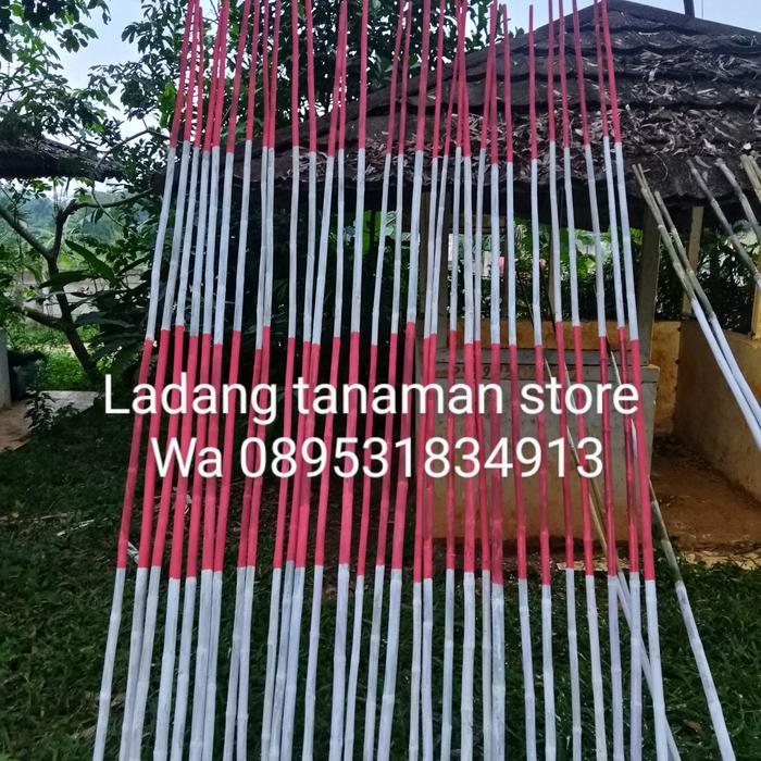 Jual TIANG BAMBU UNTUK BENDERA - Kota Depok - ladang tanaman store ...
