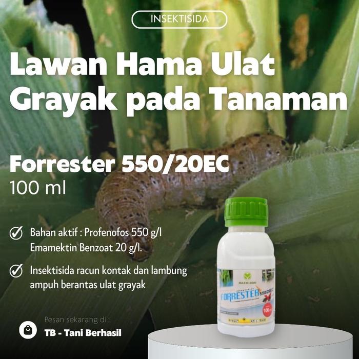 Jual Insektisida Forrester 550/20 EC 100 ml, Lawan Hama Ulat Grayak Tanaman - Kab. Sidoarjo - TB ...