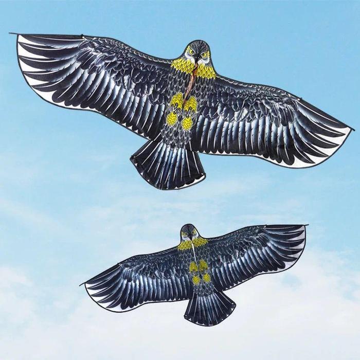 Jual Layangan Bentuk Elang Besar Jumbo / Mainan Layangan Eagle Big ...